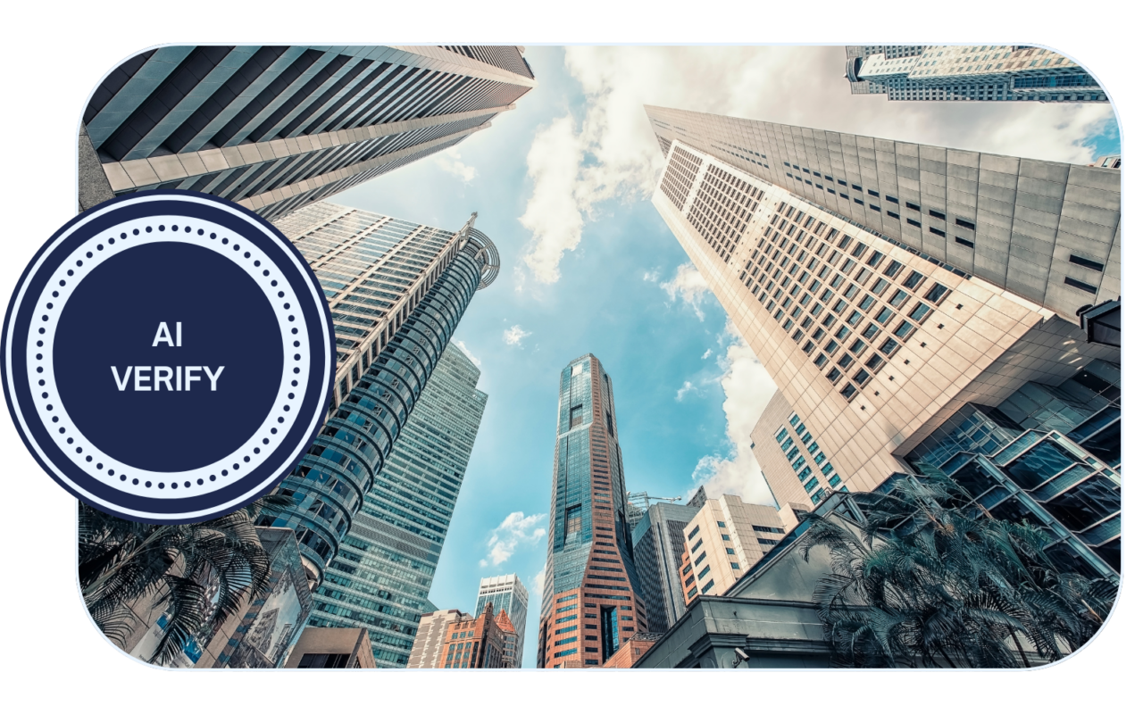 AI Verify Standard Overview | AI Governance Simplified